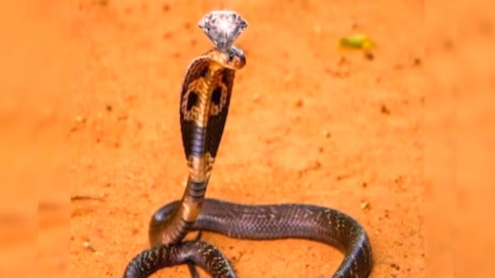 nagamani diamond snake viral video fact check telugu news | Fact Check ...