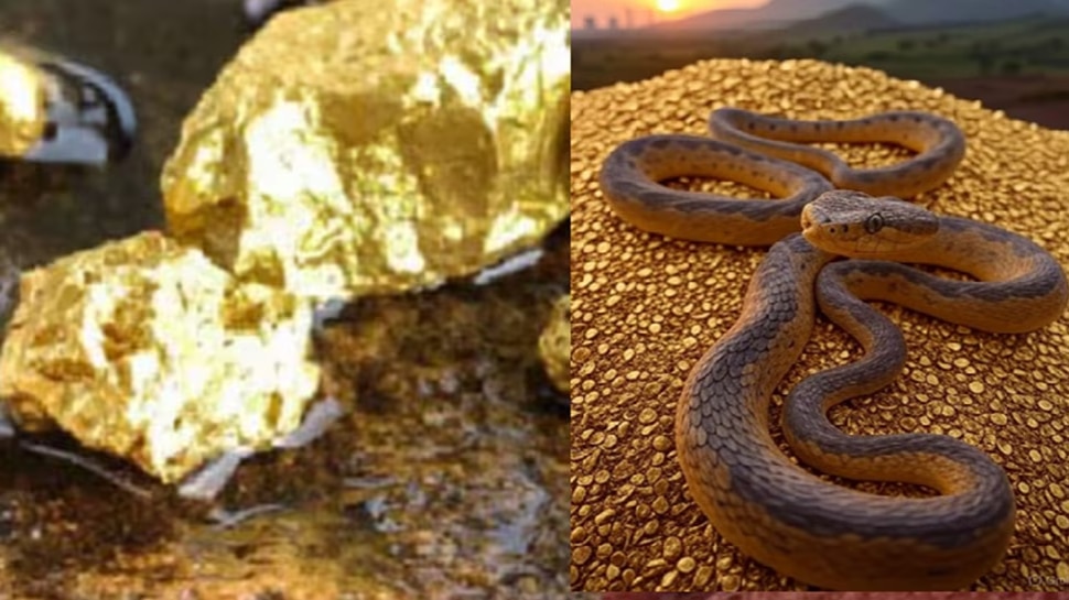 Most Venomous Snakes Security For Crores Of Worth Gold Here Secrets ...
