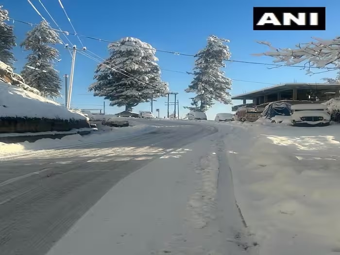 Himachal pradesh and Shimla beautiful snowfall pics heavy snowfall ...