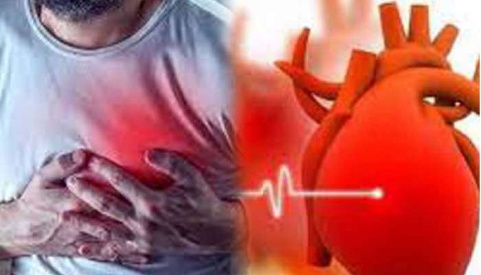 Health Precatutions And Necessary Heart Check Up 7 Tests To Screen Your