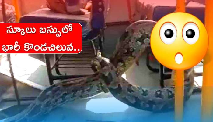 Python Viral Video A Big Python Entered In School Bus At Uttar Pradesh
