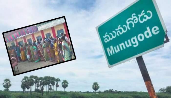 Munugode election updates | Zee News Telugu