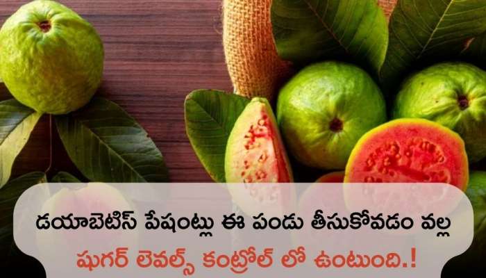 Boiled Guava Leaves Benefits | Zee News Telugu