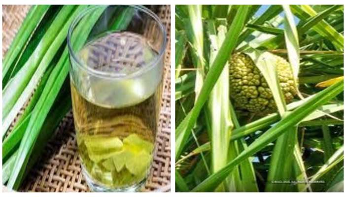 Kawra Water: Kawra Water Amazing Health Benefits Know how to use|Kawra ...