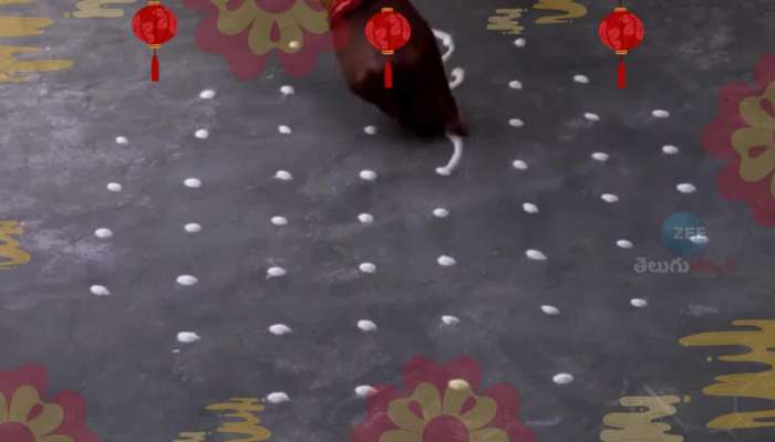 Rangoli Muggulu | Zee News Telugu