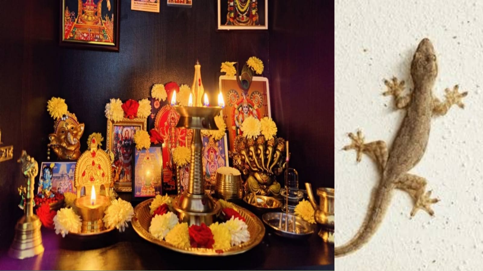 Lizard movement behind god photos is good or bad | Lizard Vastu: ఇంట్లో ...