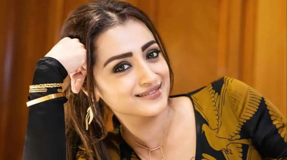 Trisha Vijay Breakup: Vijay and Trisha's breakup... Actress unfollows ...