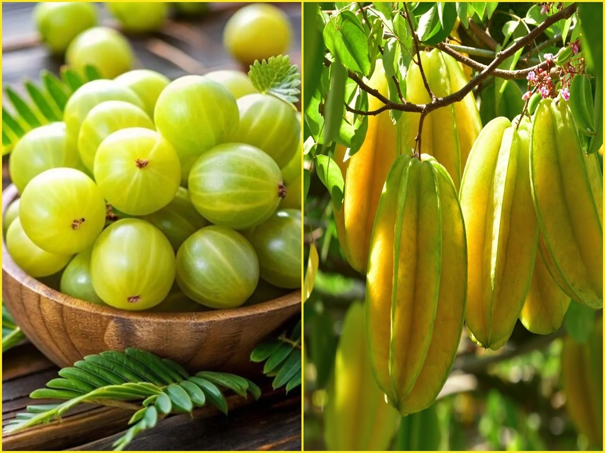 Vitamin C Rich Fruits Star Fruit Vs Amla How To Fulfill Vitamin C 0515