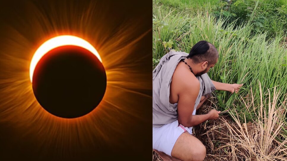 Lunar eclipse 2025 Significance of Darbha and why we use darbha grass ...